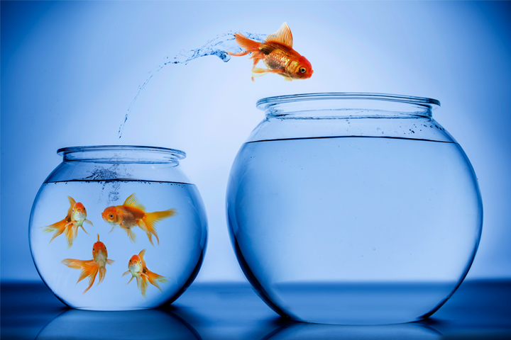 How to Decide if Open or Proprietary IIoT Solutions Are Right for You